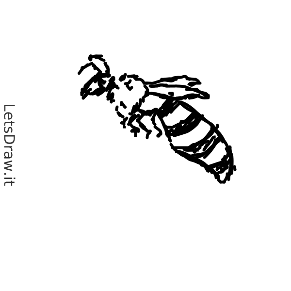 How to draw queen bee / xezyqg7bq.png / LetsDrawIt