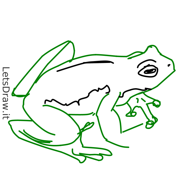 Ako sa kresli žaba / LetsDrawIt