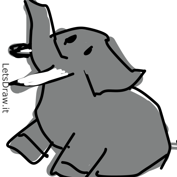 How to draw elephant / xo7xnseyf.png / LetsDrawIt