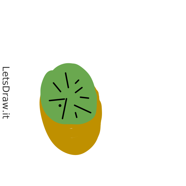 How to draw kiwi / xtkaf1tdt.png / LetsDrawIt