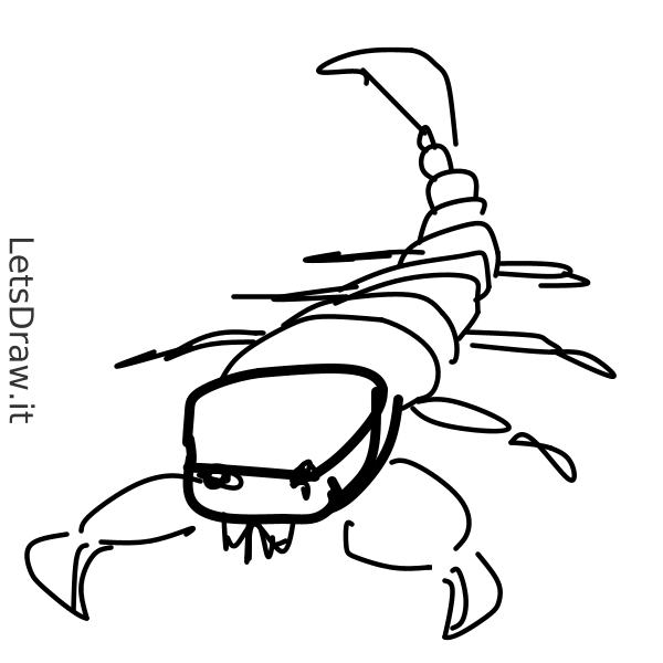 How to draw Scorpio / xttac58pn.png / LetsDrawIt