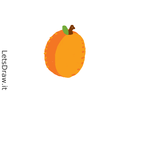 How to draw apricot / xtxzqkues.png / LetsDrawIt