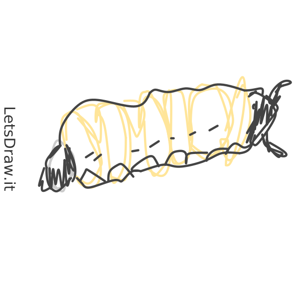 How to draw larva / xxumj8ua.png / LetsDrawIt