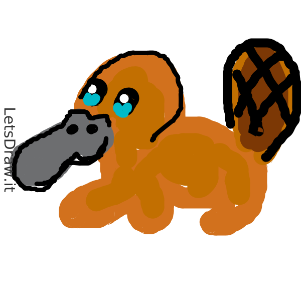 How to draw platypus / y3beqtood.png / LetsDrawIt