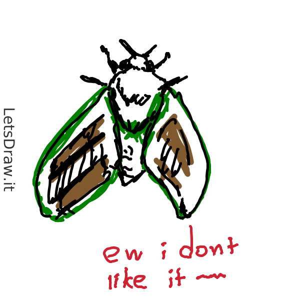 How to draw moth / y4zoq1c6o.png / LetsDrawIt