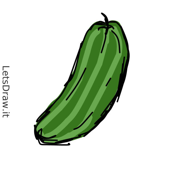 How to draw cucumber / y6qwnxjy3.png / LetsDrawIt