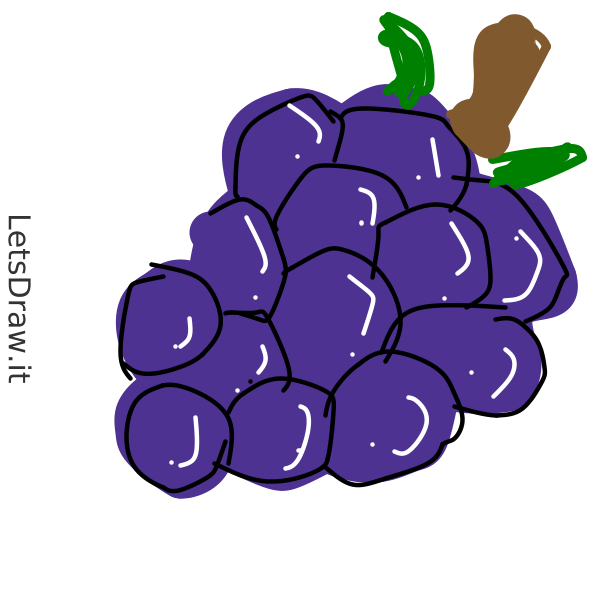 How to draw fruit / y74g87fb.png / LetsDrawIt