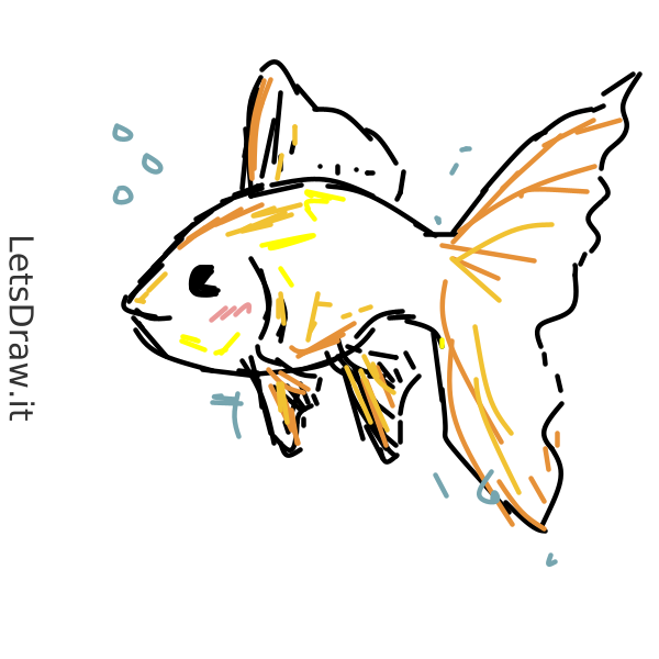 How to draw goldfish / y7oq8zrrd.png / LetsDrawIt