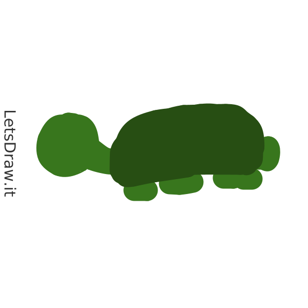 How to draw turtle / y7xob7g78.png / LetsDrawIt