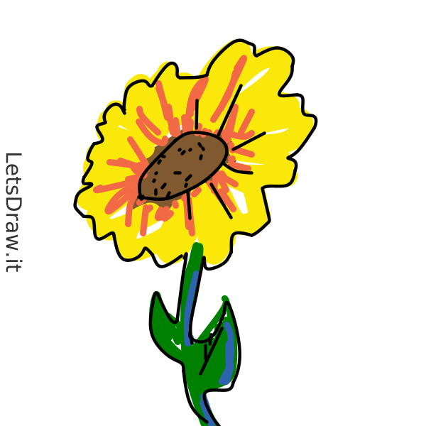 How to draw sunflower / yad1r8a86.png / LetsDrawIt