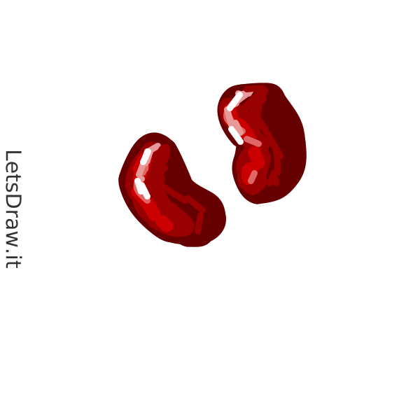 Como dibujar frijol / Aprende a dibujar de otros artistas de Letsdraw.it