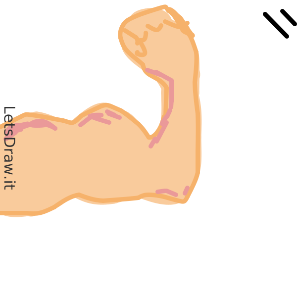 How to draw muscle / yb4qfm8jg.png / LetsDrawIt