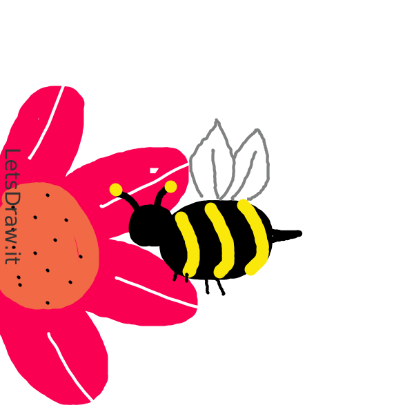 How to draw bee / yb5uqzr83.png / LetsDrawIt