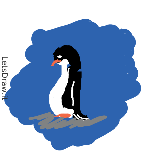 How to draw penguin / ydh6fpiss.png / LetsDrawIt