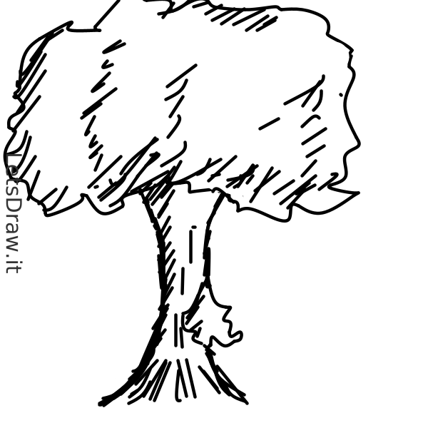 How to draw tree / yf4mdec7.png / LetsDrawIt