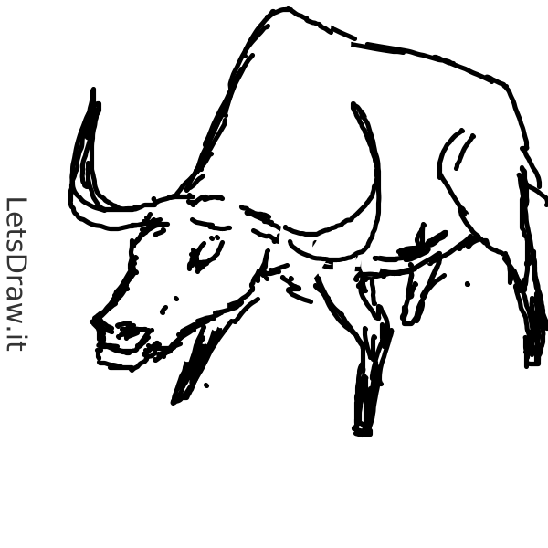 How to draw bull / yf9p8z1wa.png / LetsDrawIt