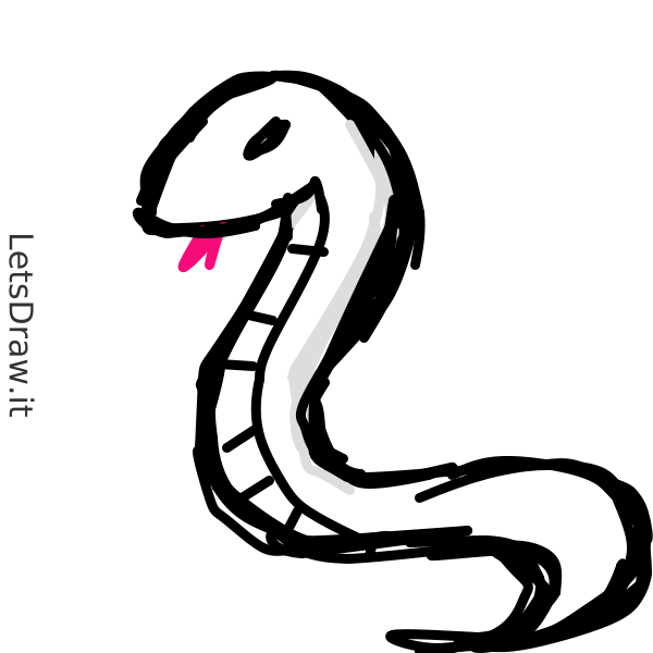 How to draw snake / ygkwkt64o.png / LetsDrawIt