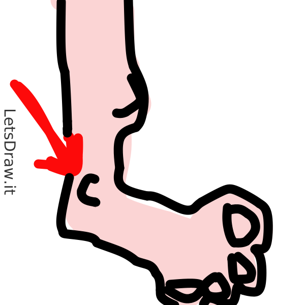 How to draw ankle / yhzspmstk.png / LetsDrawIt