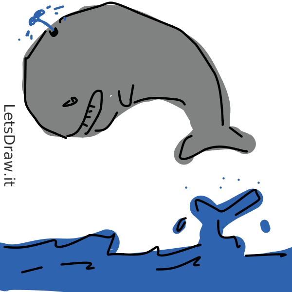 How to draw whale / yn6rbj6df.png / LetsDrawIt