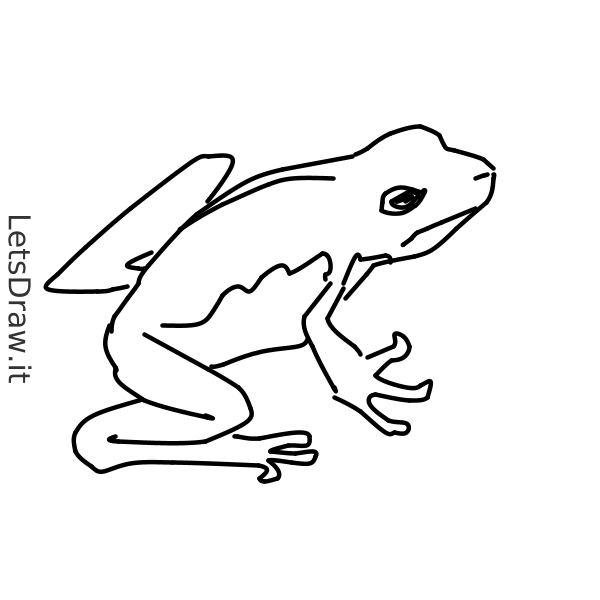 How to draw frog / ynaijbfyg.png / LetsDrawIt