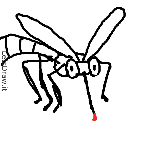 How to draw mosquito / yns7q9q35.png / LetsDrawIt