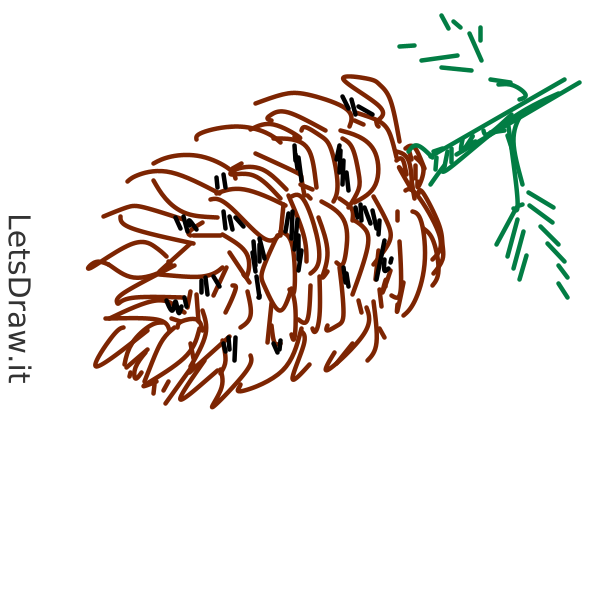 How to draw Pine cone / yp5zpqccj.png / LetsDrawIt