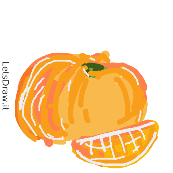 How to draw tangerine / yqc4x7ta5.png / LetsDrawIt
