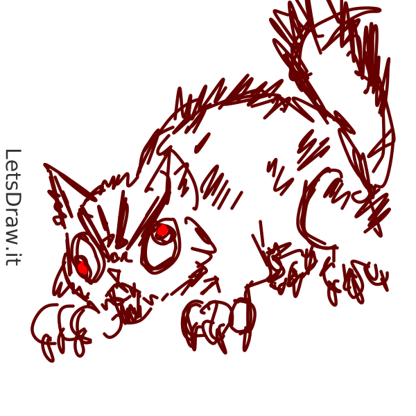 How to draw grumpy cat / yqhhf6fm1.png / LetsDrawIt