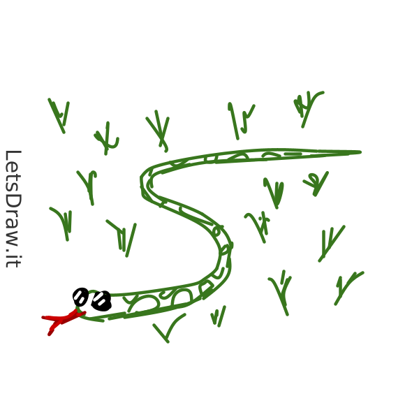 How to draw grass snake / yrdcg7zod.png / LetsDrawIt