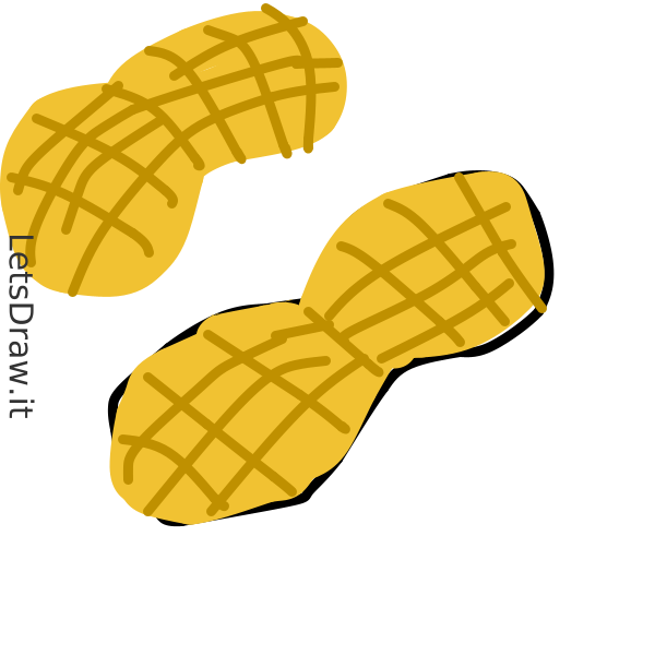 How to draw peanuts / ytc4gs8nu.png / LetsDrawIt