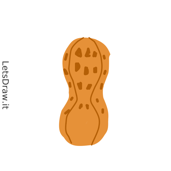 How to draw Peanut / z1ndgdsm5.png / LetsDrawIt