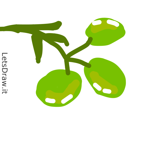 How to draw Olives / z3r4jqb1f.png / LetsDrawIt