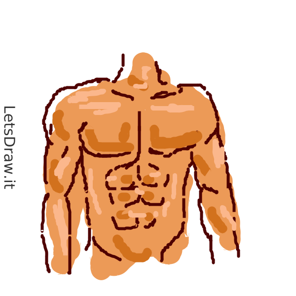 How to draw body-builder / z5dbo1aay.png / LetsDrawIt