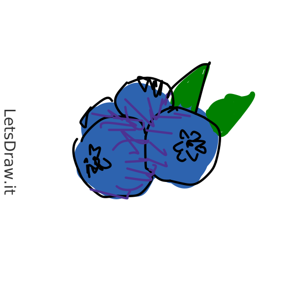 How to draw blueberry / z5wbd8o7n.png / LetsDrawIt