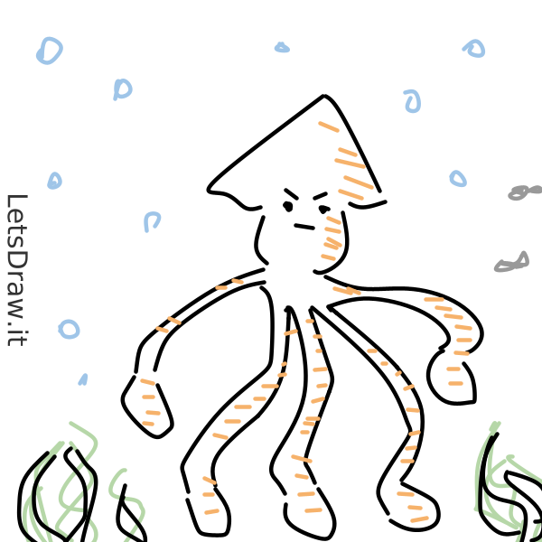How to draw squid / z8phfhp9y.png / LetsDrawIt