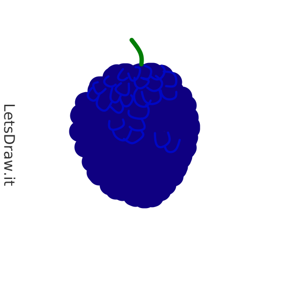 How to draw blackberry / zco4pqk84.png / LetsDrawIt