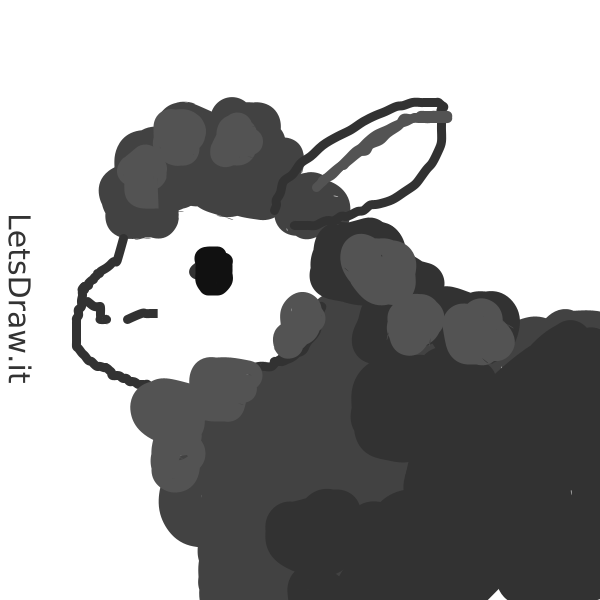 How to draw black sheep / zfw6tbrde.png / LetsDrawIt