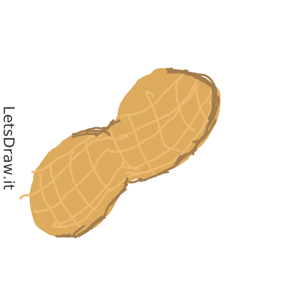 How to draw peanuts / zh7wkg5w3.png / LetsDrawIt