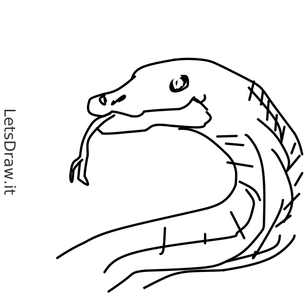 How to draw grass snake / zharc9fcx.png / LetsDrawIt