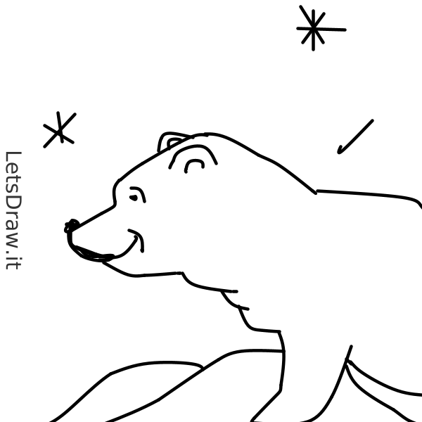 How to draw polar bear / zm7tcw9k.png / LetsDrawIt