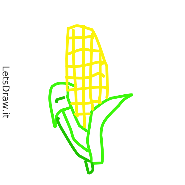 elote dibujo / LetsDrawIt