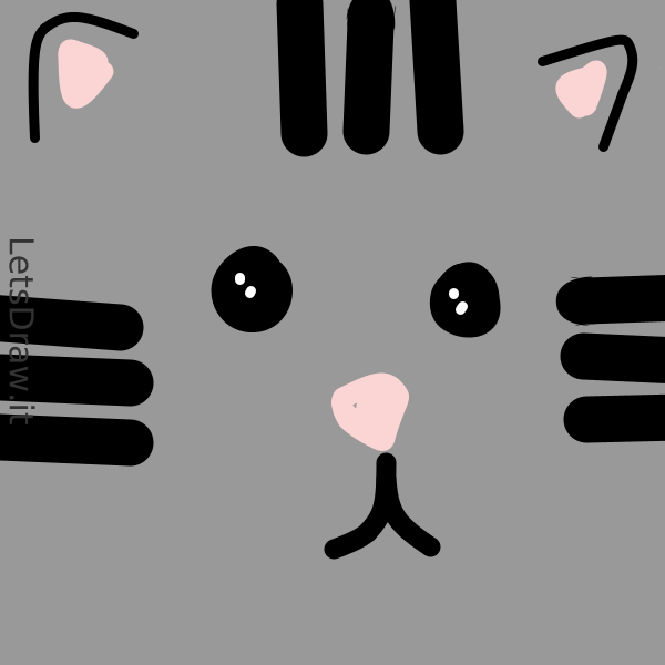 How to draw cat / zqf3potzo.png / LetsDrawIt