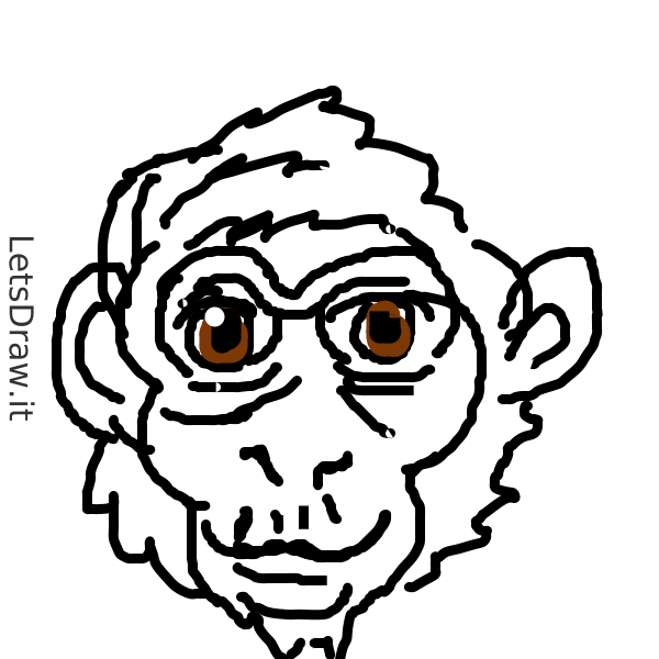 How to draw monkey / zqfxqy9fg.png / LetsDrawIt