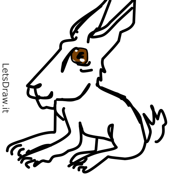How to draw Hare / Learn to draw from other LetsdrawIt players