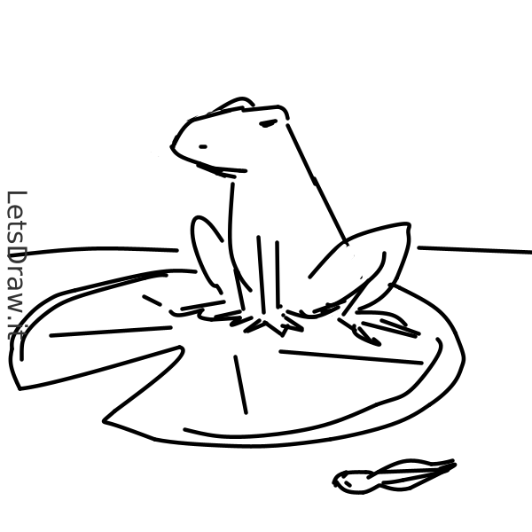 How to draw frog / zx3cbbgps.png / LetsDrawIt
