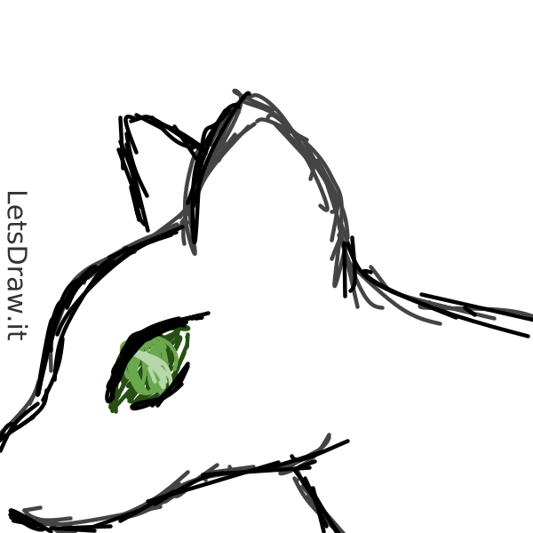 How to draw panther / LetsDrawIt